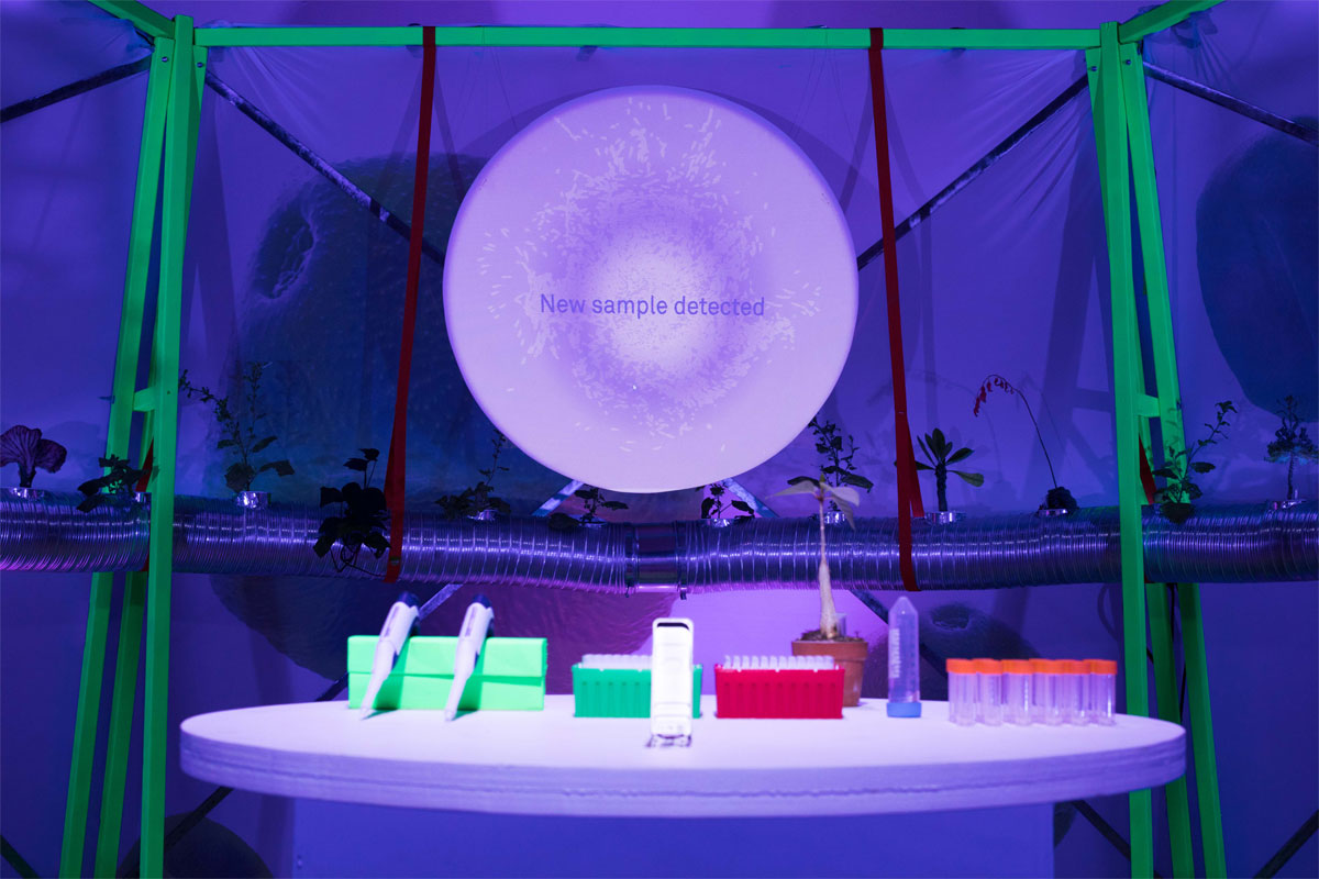 Grow Your Own Cloud — Data Garden