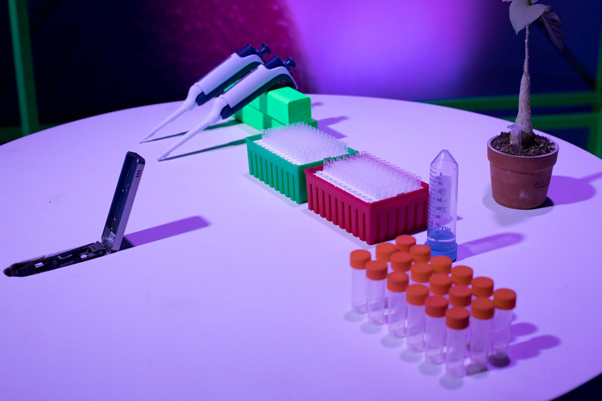 Grow Your Own Cloud — Data Garden